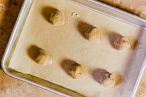 Nancy Silverton’s Peanut Butter Cookies — Zestful Kitchen