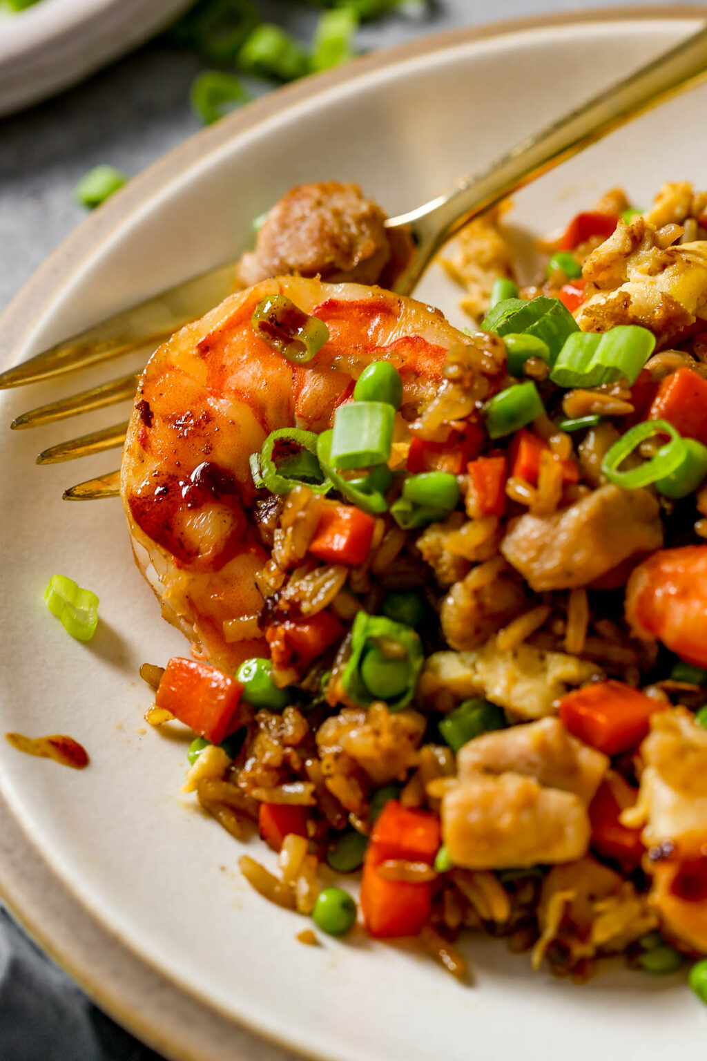Shrimp and Chicken Fried Rice